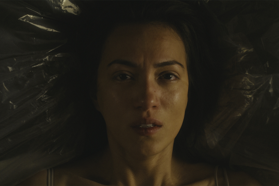 Laceración - San Sebastián, ciudad de la cultura