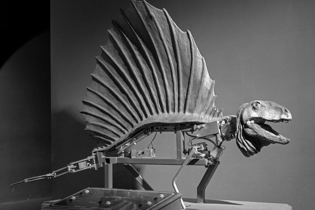 Joan Fontcuberta presentará su nuevo trabajo "Dinosaurios" en el Museo ...
